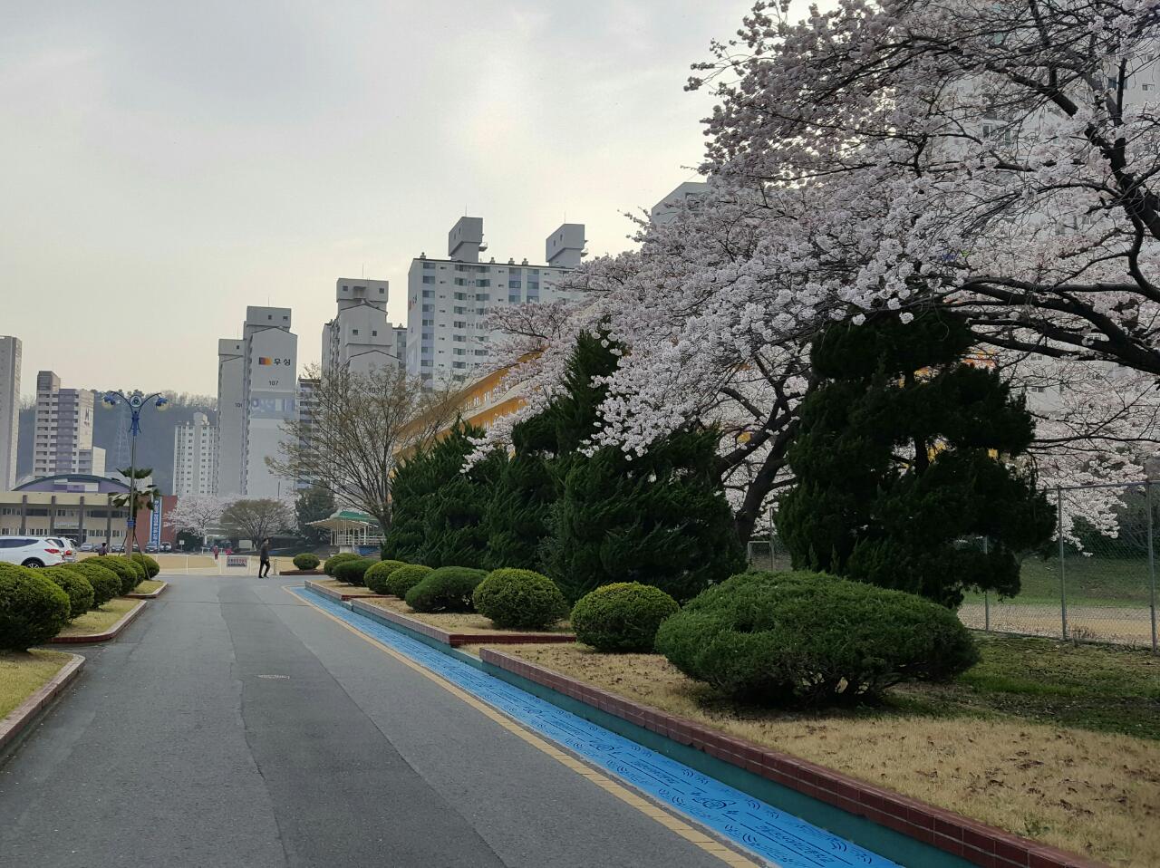 한일여자고등학교 3학년28반(1987년졸업)11회 | BAND