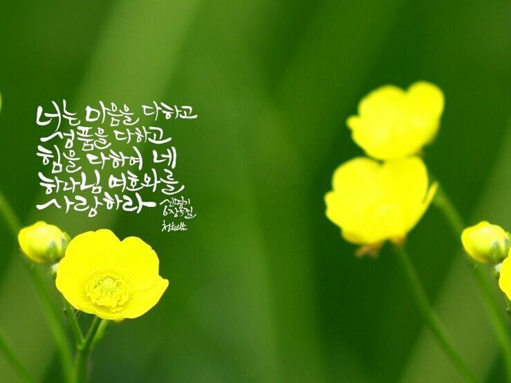 주님의 꿈 중보방 Band