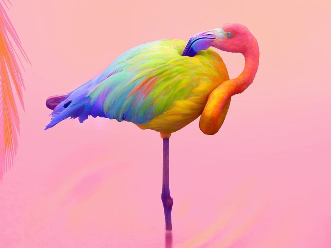 짝_무한미팅♥싱글♥돌싱♥만남♥재혼♥3040모임♥대화 | BAND