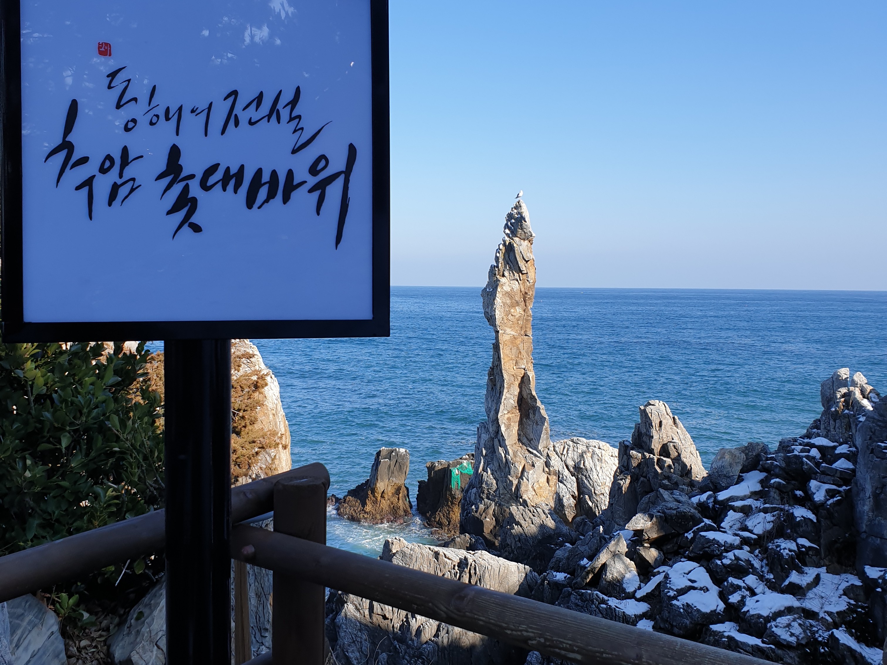 피닉스 F.c | BAND