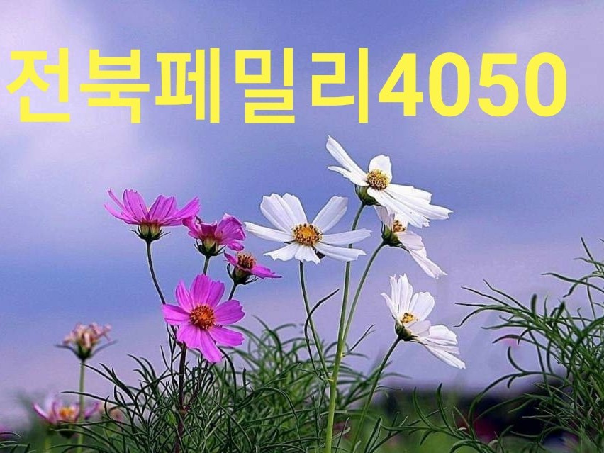 전북페밀리4050 | BAND