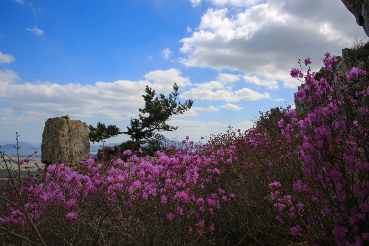 부산3040꼬마산악회 | BAND