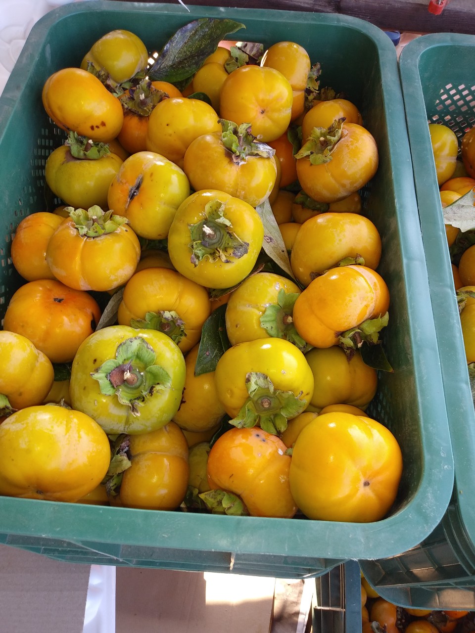 농기계 특수기계 건설공구 중장비 농막 고물(古物) | BAND