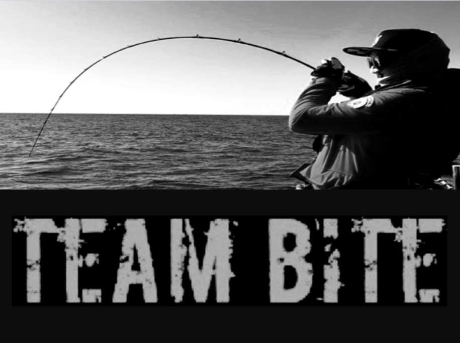 팀바이트(TEAM BITE) 전남,전북,광주 바다선상루어낚시 | BAND