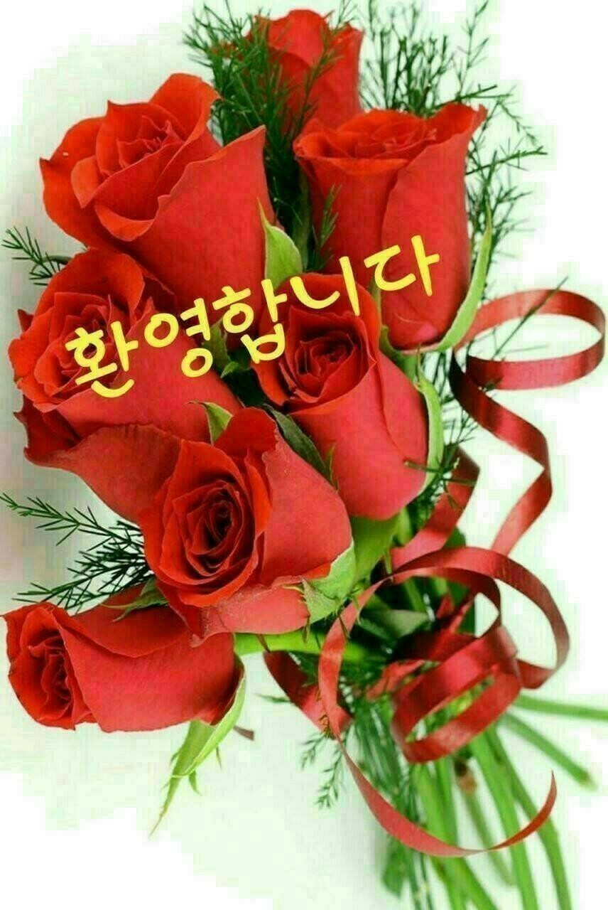 #대구4050싱글,돌싱,대구4050솔로,대구☆대구싱글+돌싱+솔로+경북싱글⚘ | BAND