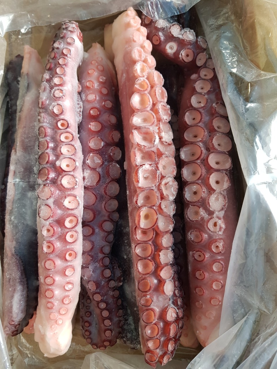 * 문의: 010-9343-4200 , 010-8896-9832 ♡ 자숙문어족(2L, L, M, S)10kg~중국, 국내산 ♡ 자숙문어(... : 수산물의名品수직(전국도매 ...