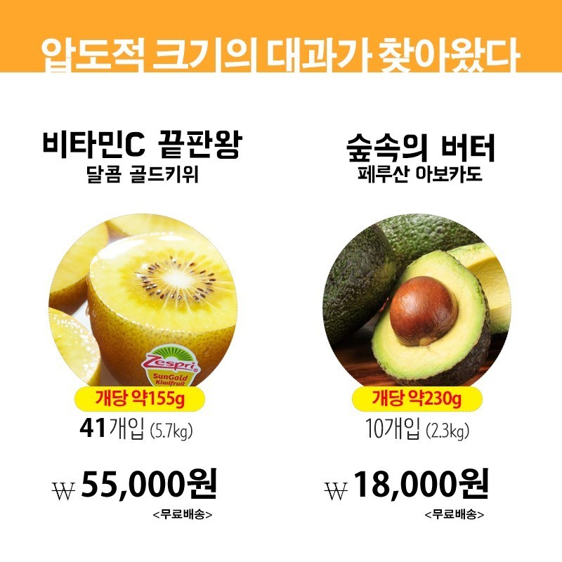 추석에도 골드키위 아보카도 대추야자 사이즈가 크고 당도 높은 과일을 최저가에 선보입니다 [상품 구성] 선택 1 골드키위