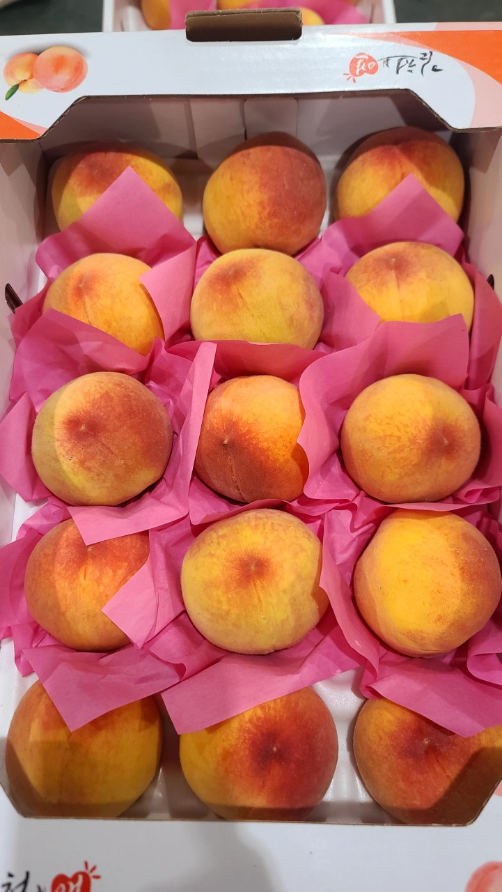 🍑 수황복숭아 3kg 🍑 복숭아 황도 수황 당도도 외관도 좋은 수황복숭아입니다~ 단단하지만 후숙에따라 말랑말랑해지는 복숭아 보리네싱싱마을 1호점 Band