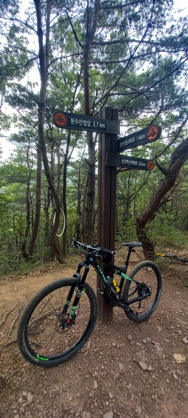 YouTube에서 '#모래골#트라우마극복#록키마운틴#적응기 2022 07 10일모래골 DH코스' 보기 https://youtu.be/uk... : 울산동구자전거연맹(동자연 ...