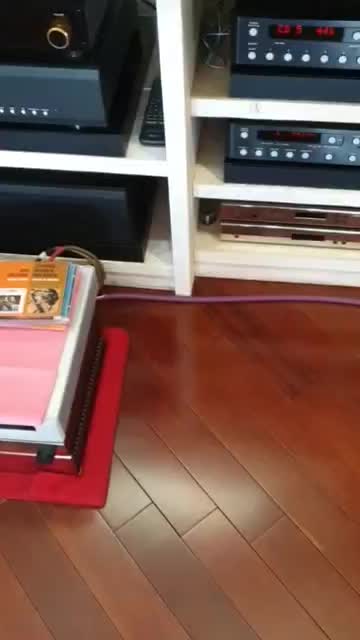 대구 달성군 야생화 카페 야생화처럼 이만섭 쓸쓸함을 한껏 풀어놓을 요량으로 문밖을 나와 무작정 길을 걷습니다 걷고 걸으며 호젓해 책과 함께 달 아래 커피가게