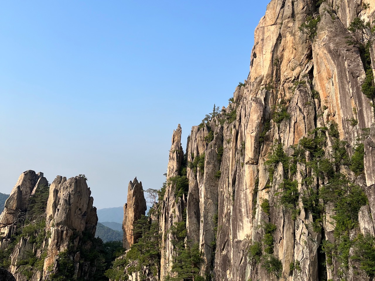 [대전세종2030등산] 산사춘 | BAND