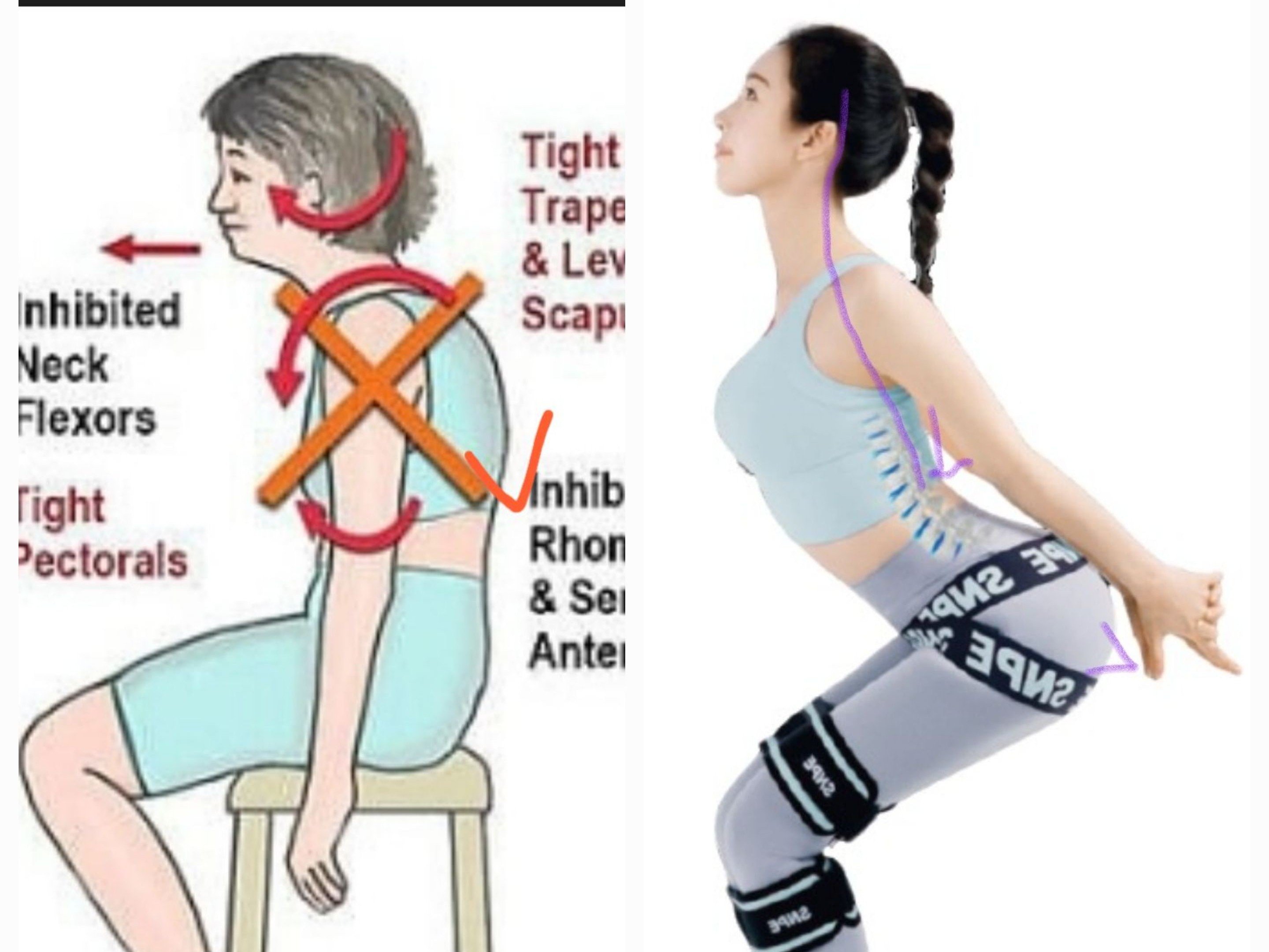 snpe 바른자세 체형교정운동(부천)해요~~♡ | BAND