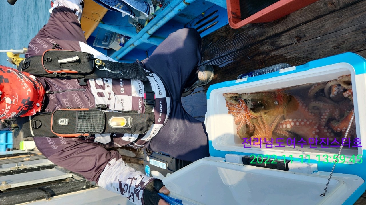 문어낚시 문어전문선사 여수만진스타호 두족류왕 가을대왕문어시즌 문어전문가 자선장직접운항 21시이후문자주세요