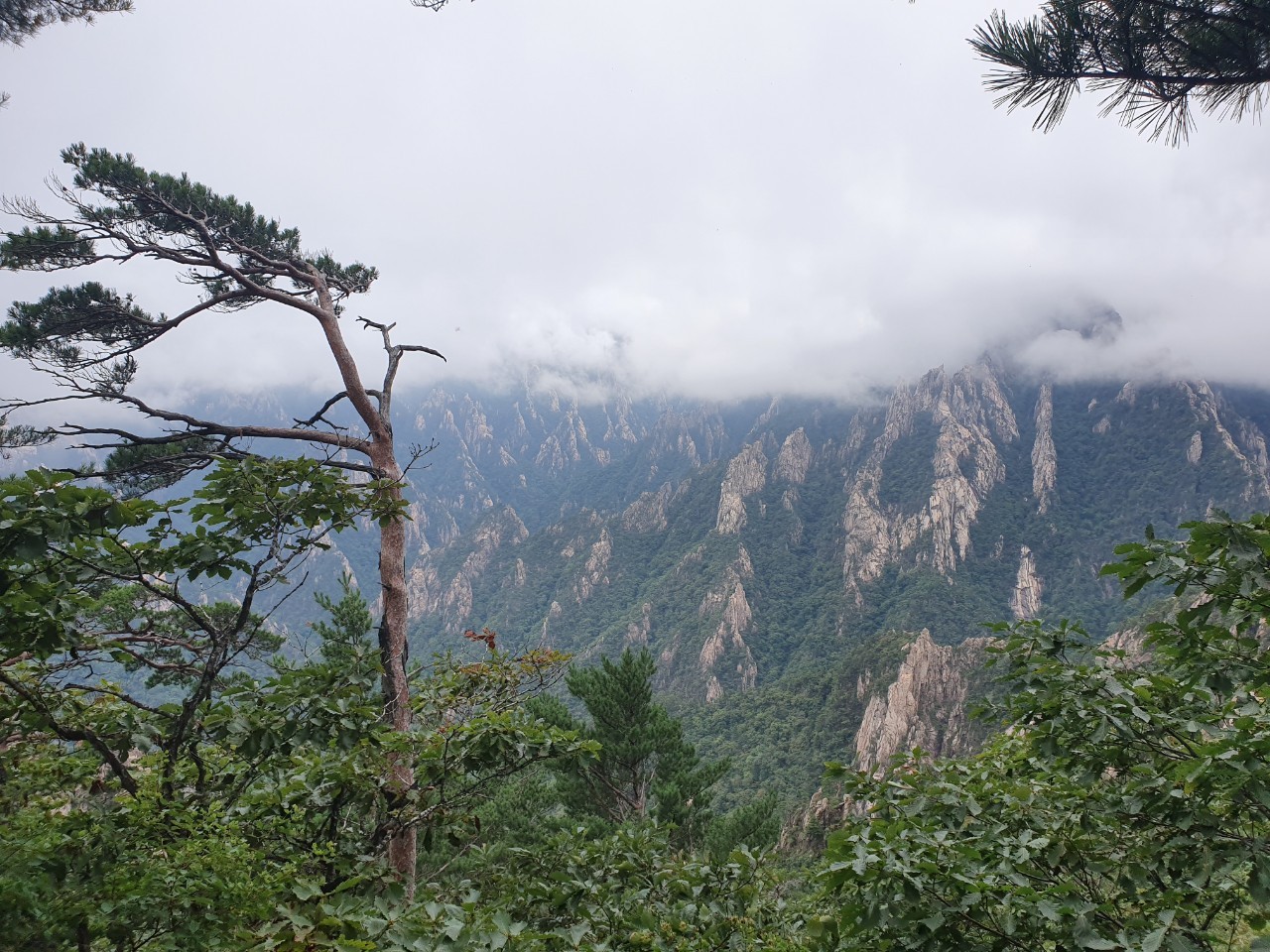 대구등산3040산마을 | BAND