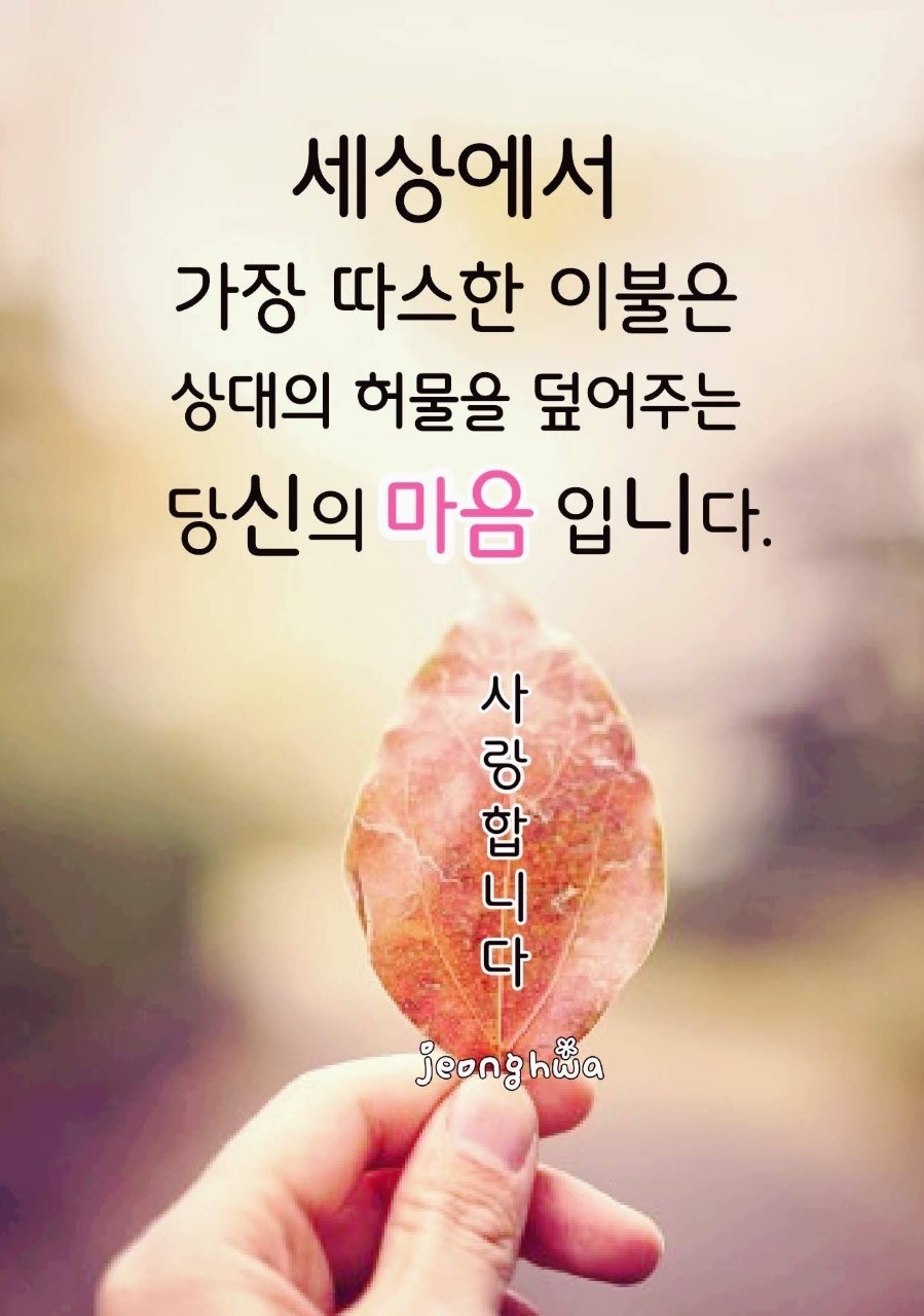 부산 4050 소울메이트 | BAND