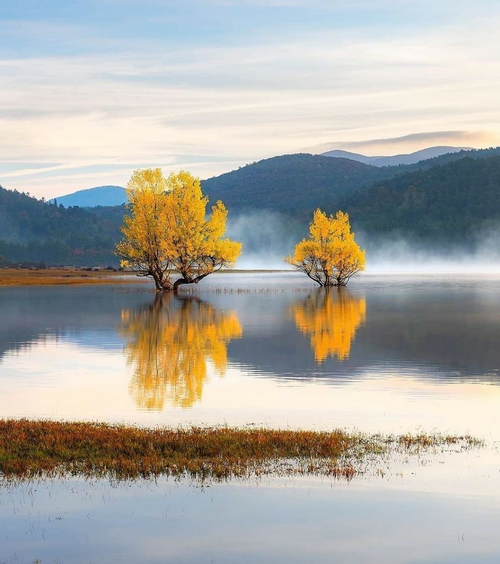 ♥따뜻한 동행♥ | BAND