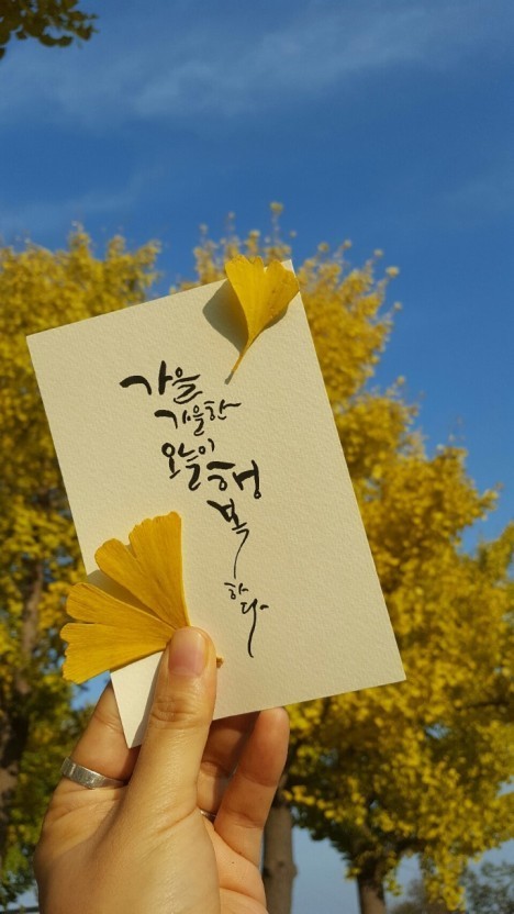 4050심쿵♥힐링4050 | BAND