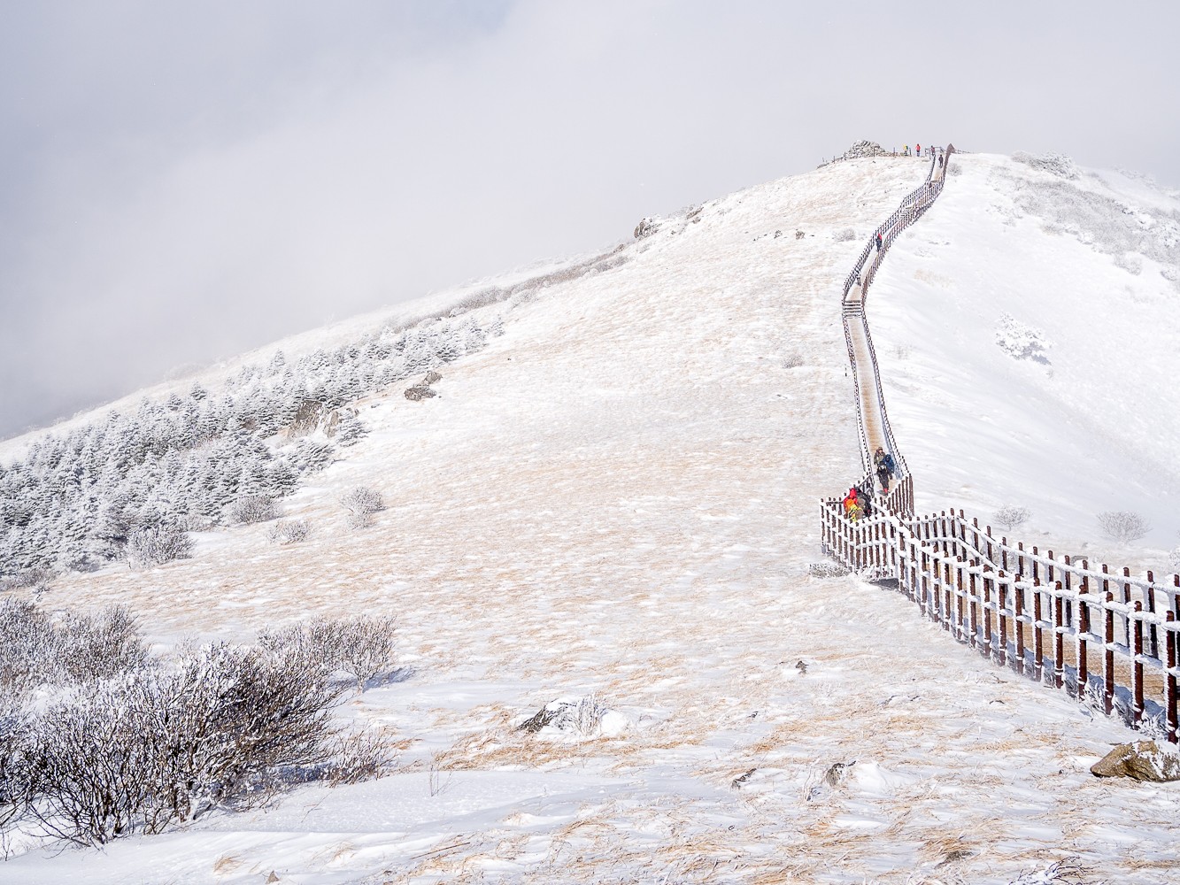 즐기자 모여라 4050 | BAND