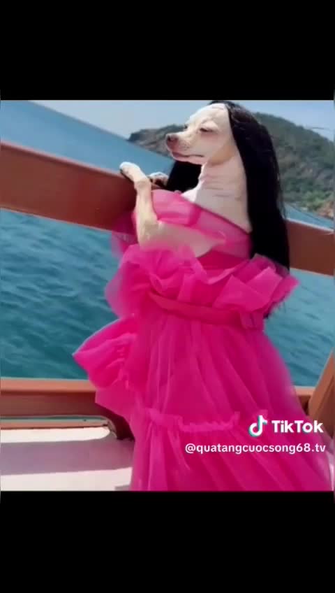 음악 유머 옛날 조상들의 재미있는 야한속담 ㅋㅋ🤣🤣🤣 ㆍ ㆍ ㆍ ㆍ ㆍ 춘보 용철 ~~ 봄 여자는 쇠 를 녹이고 추자파석
