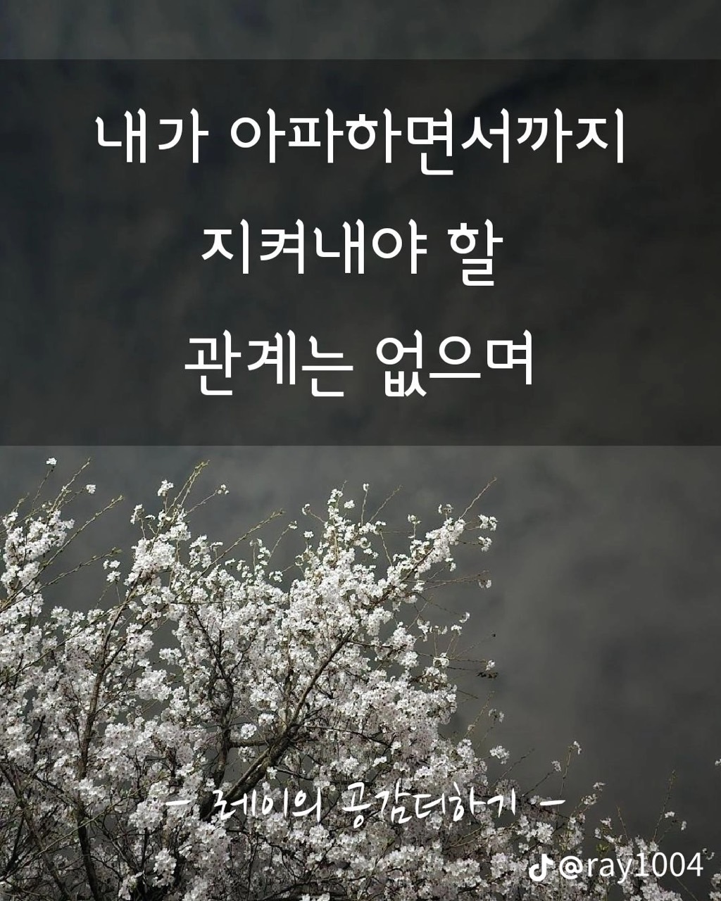 4050 벙이닷COME | BAND