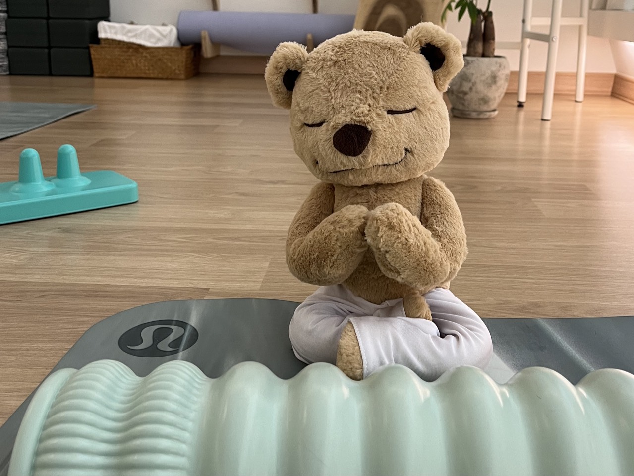 남녀노소 요가&SNPE | BAND