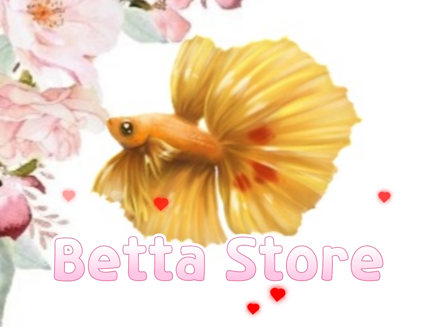 betta store베타스토어[베타,금붕어,구피,아쿠아스토어] | BAND