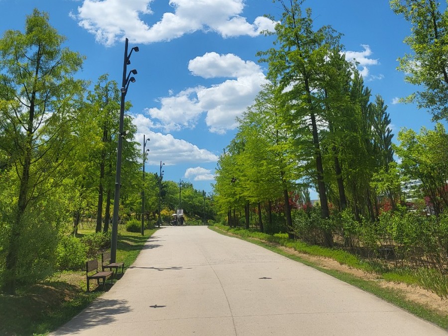 마곡동4050우리함께달려 | BAND