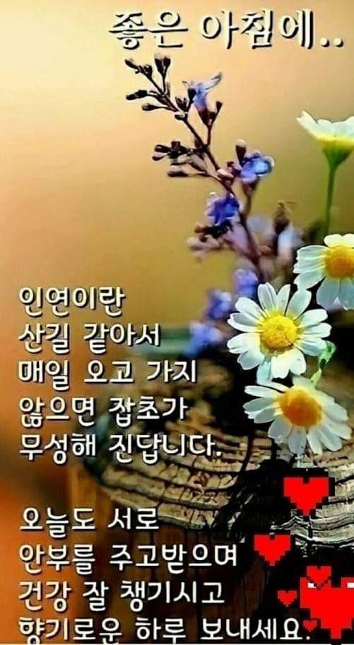 Welcome Home 오시비사 오늘도 행복하시고 건강한 하루 보내세요 추억의 올드팝 Band