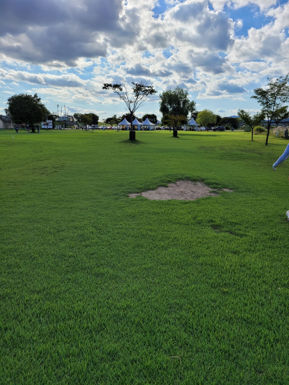 새로운목표 파크골프를즐기자 100대명품골프장투어 백대회원 회원모집 안녕하세요 제가 파크골프를 접한 시간이 불과 한달이 안 됩니다 파크골프 투어 맛집 여행