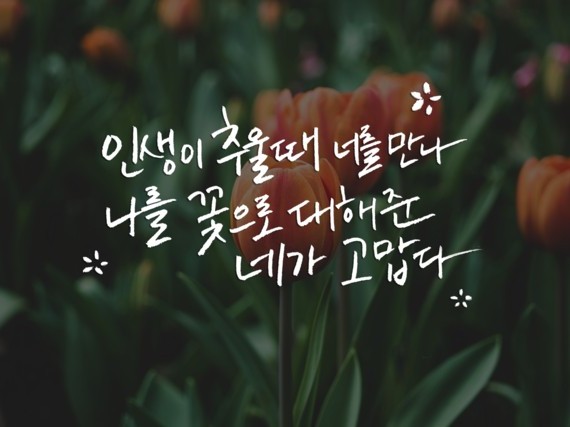 대구 76 UDT | BAND