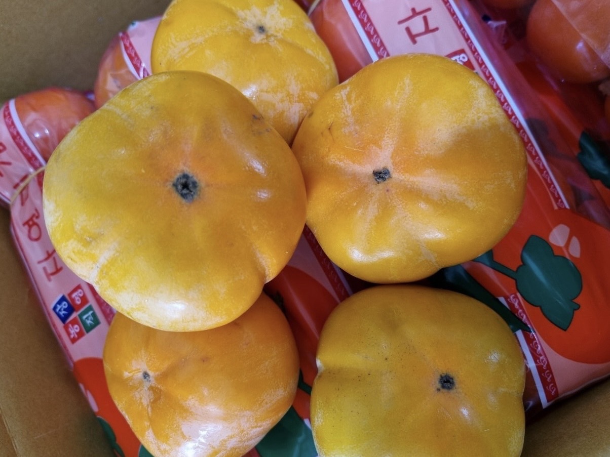 [오늘출발]아삭아삭 달콤한 제철단감 ⏩️17시 이전 주문까지 당일발송!! (Cj/롯데) ️봉지단감 4.5kg내외(25-30과내외) ⏩️... : 제철먹거리 | BAND