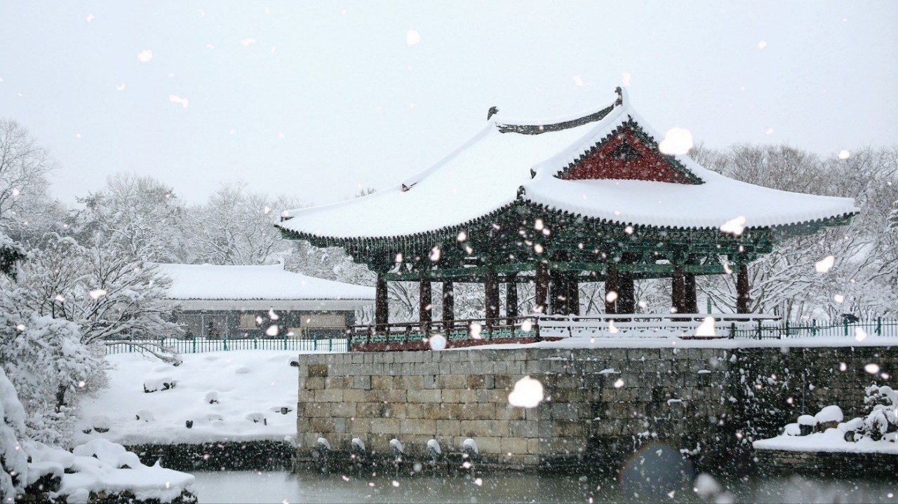 #사진기초강좌 설날 연휴에 눈소식이 있습니다 흩날리는 눈송이 사진을 찍는 방법 및 스마트폰 후보정 등을 영상으로 만들어 보았습니다 htt... : 풍경사진 연구 | BAND