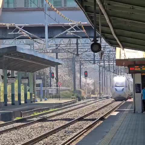 (레일코리아 뉴스, RK-N) 21년간 11억 넘게 승차한 KTX 개통 21주년을 맞은 KTX가 그간 총 11억4000만명의 승객을 싣고... : 레일코리아(RAIL ...