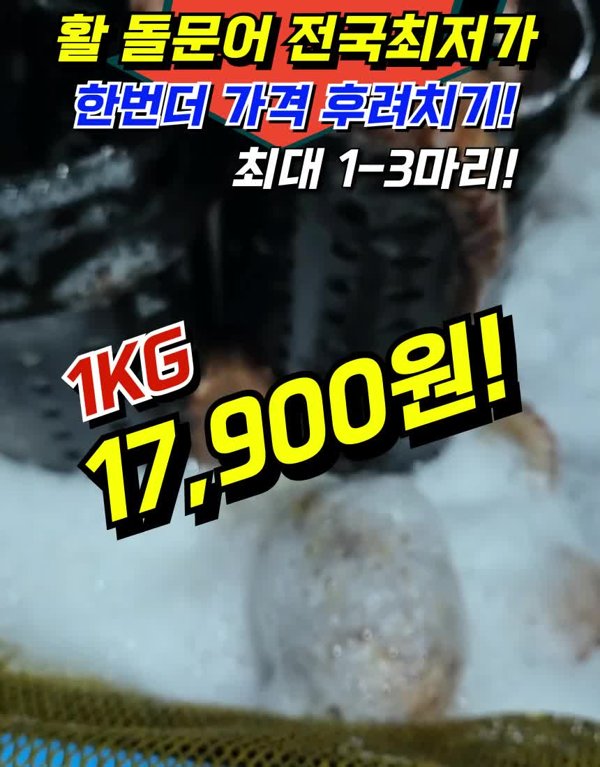 #꺅~~돌문어_진짜좋아요_1kg1-3마리17,900원!! #원산지표시_국내산 초복에 맞춰서 돌문어배도 들어오네요 ㅎㅎ 이렇게 운이좋을수가... : 선장과아들수산(홍게.대게 ...